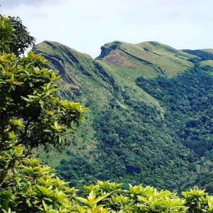 Kemmangundi hill station Chikmagalur, Karnataka - Timings, Entry fee ...
